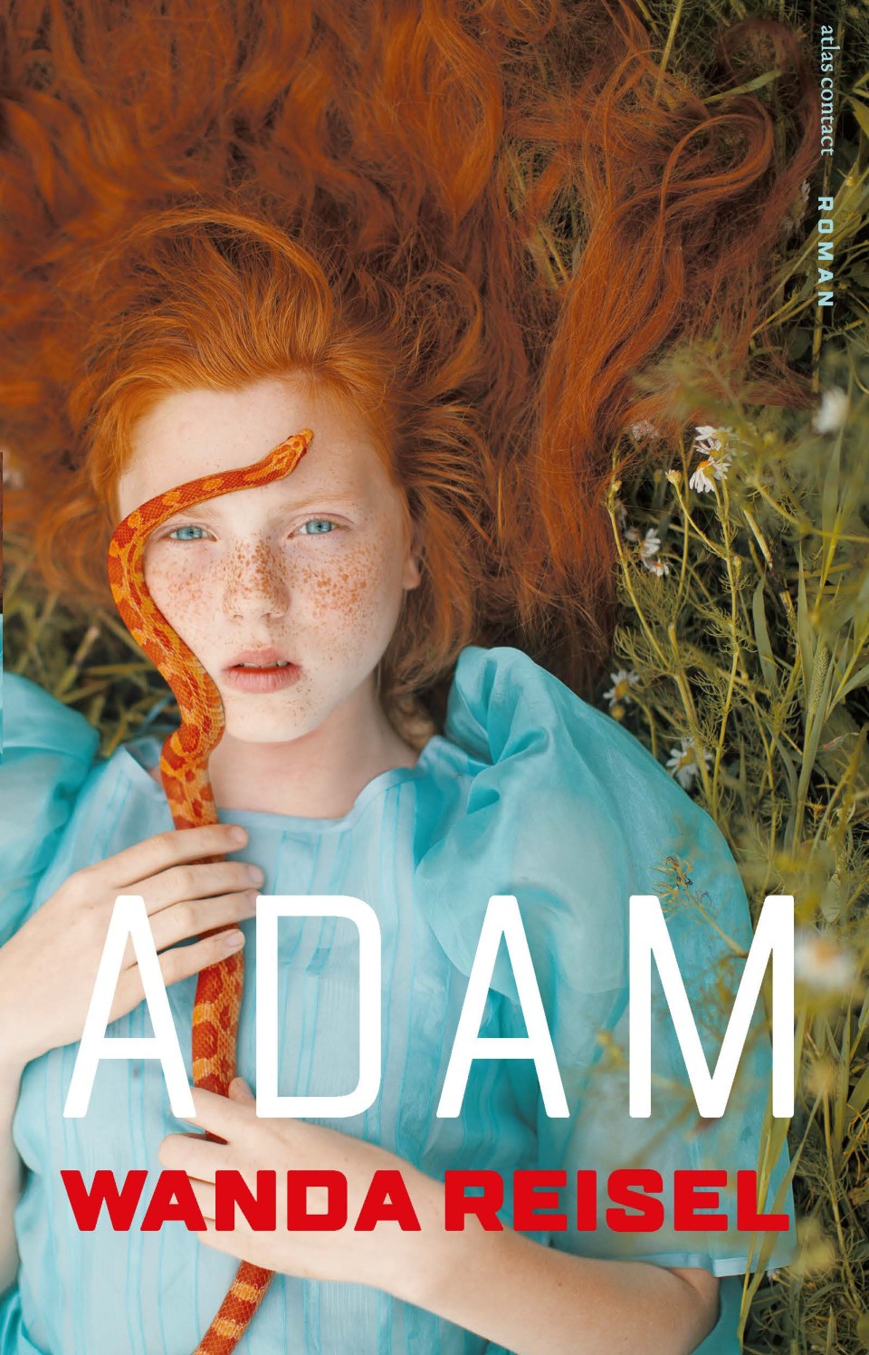 Adam - Atlas Contact : Atlas Contact
